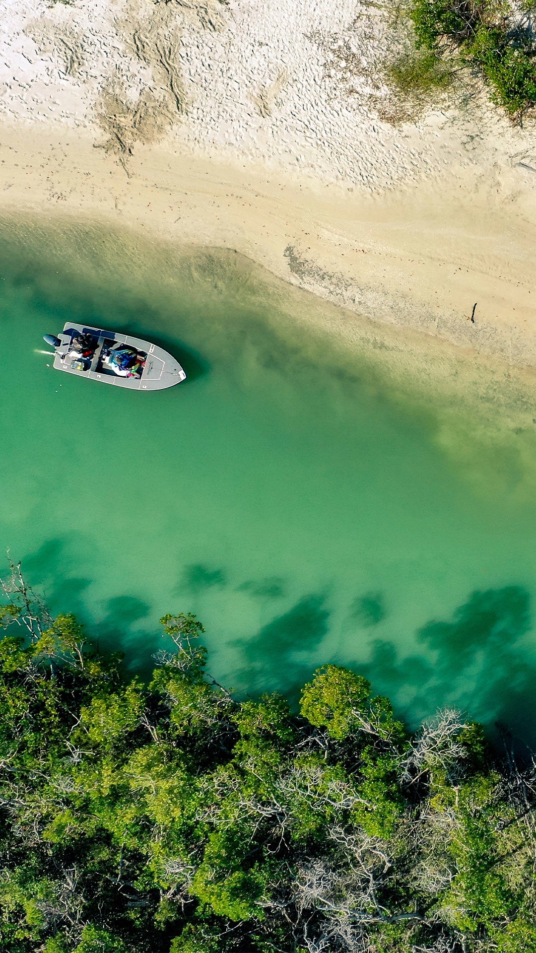 Earth Day Screensavers